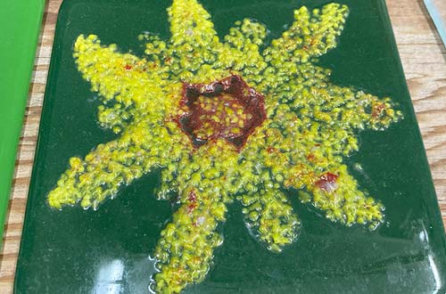 8790341 Creative Glass Fusing | Community Education & Workforce Development